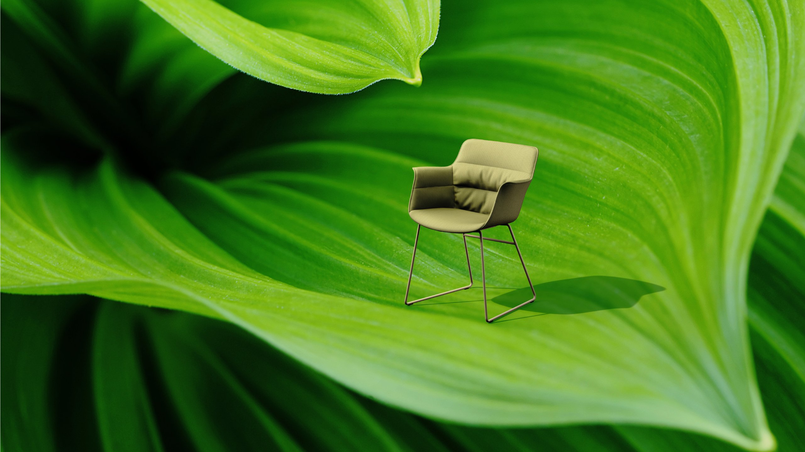 B&T Design | Something New Everyday
